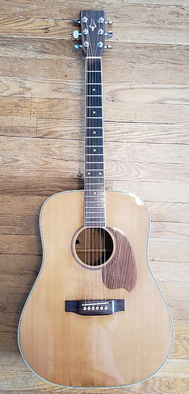 Daion Mugen Mark II Acoustic Guitar with Pickup Hard Case | Reverb
