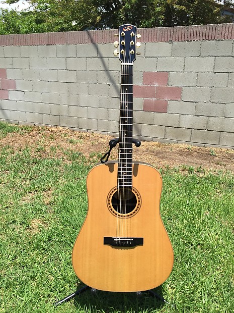 Bedell TB-28-G All Solid Wood Dreadnought Acoustic Guitar | Reverb