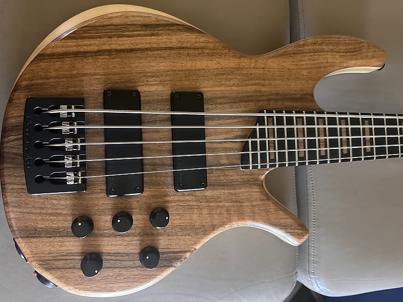 Overwater Progress Series IV Custom 5 String 2023 | Reverb