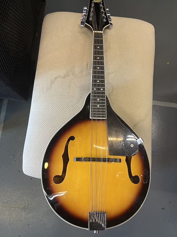 Rogue Mandolin | Reverb