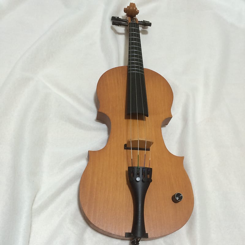 Violin. Fretted Semi acoustic SOLD!! | Reverb