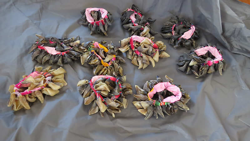 Chacjcha Goat Hoof Shaker 2023 | Reverb