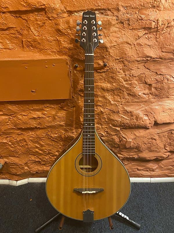 Gold Tone octave mandolin with hard shell case | Reverb