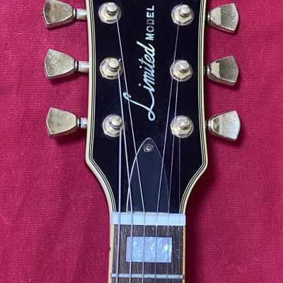 Edwards by ESP E-LP-50c Built in AMP Black Mini Electric | Reverb