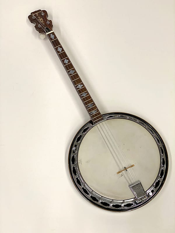 Alvarez Aoyama 4 string tenor resonator banjo | Reverb