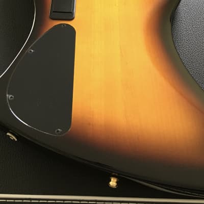 Spector Euro 4X "Spectorbird" Tobacco Sunburst One of | Reverb