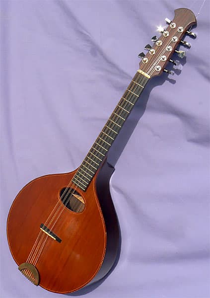 late 70's Stefan Sobell Cittern: Rare Model, 10 String, Cedar | Reverb