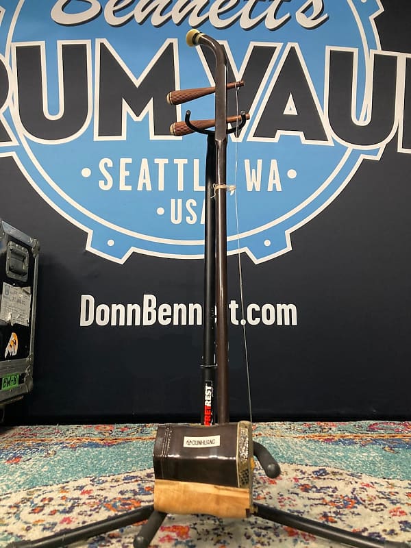 Dunhuang Tom Hamilton's Aerosmith, 2 String Snakeskin Ehr Hu | Reverb