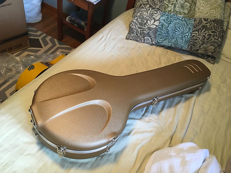 TKL Concept Open-Back Banjo case 11” 2018 Gold | Reverb
