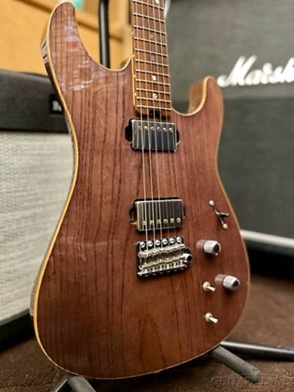 ESP Custom Order SE 【Ash Body!】 Around 2002 - See Thru Gray | Reverb