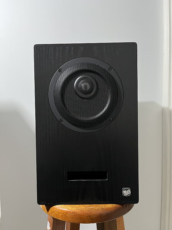 ME-G Geithain MO-2 Monitor Speaker ! | Reverb