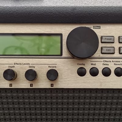 Johnson Millenium Stereo 250 Head | Reverb