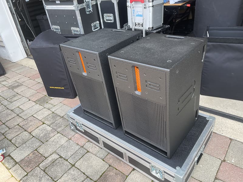 Bassboss DV12 MK2 2020 - Wood | Reverb