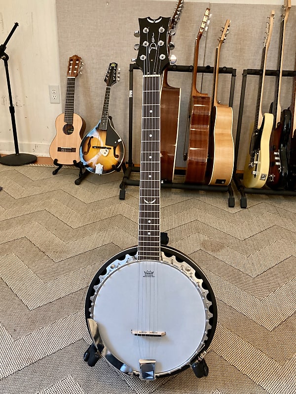 Dean Backwoods 6 Banjo /with pick-up | Reverb