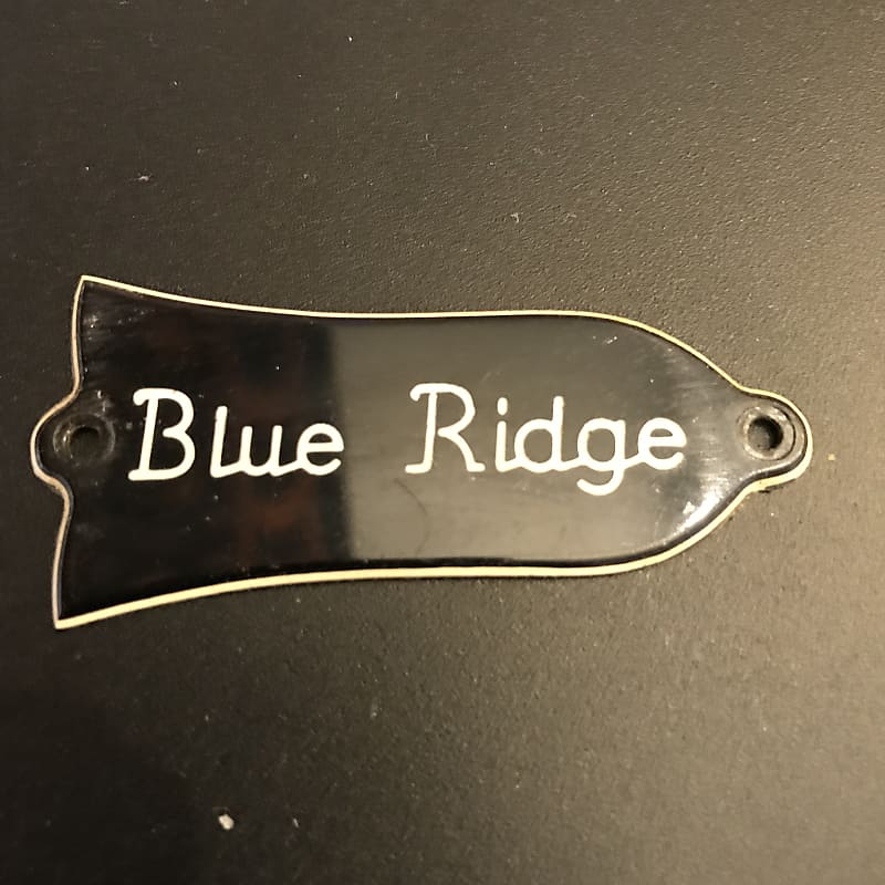 Gibson Blue Ridge Truss Rod Cover VINTAGE 1969 Black | Reverb