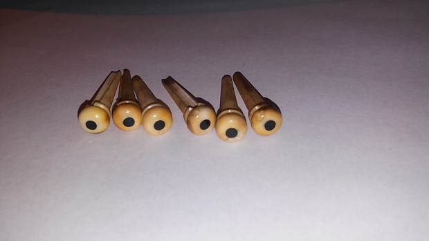 Premium Fossil Walrus Ivory Bridge Pins Antique Ivory For CF | Reverb