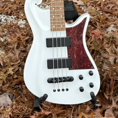 Waterstone Sam Hill 2-string bass 2022 Matte Black | Reverb