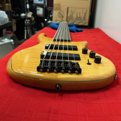 Pedulla Thunderbolt 6-String Electric Bass Made in the USA | Reverb