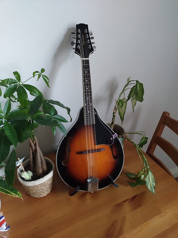 Blue Moon Mandolin + stand | Reverb