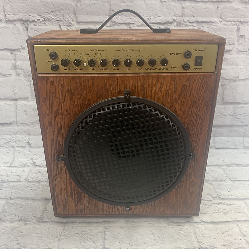 Rogue CG 30R combo amp REHOUSED | Reverb