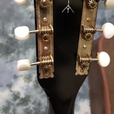 Kay Auditorium 14 1/2 Student Model Pro Setup Original Soft | Reverb