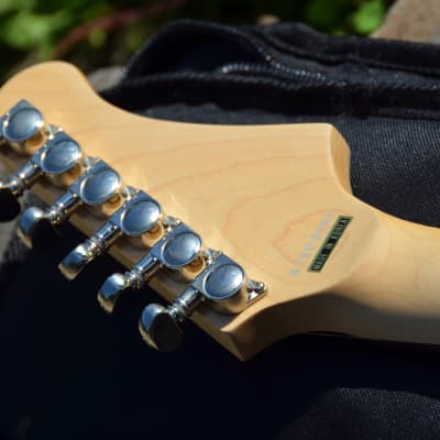 DBZ Diamond Maverick LT Series – Big Block Tele with Reverse | Reverb