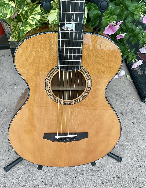 Williams Kiwi 2005 - Taraire/Kauri Acoustic Guitar w/ | Reverb
