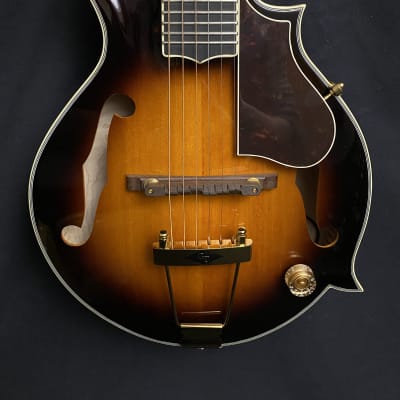 Gold Tone F-6+ Mando-Guitar 6-String Mandolin w/pickup, | Reverb