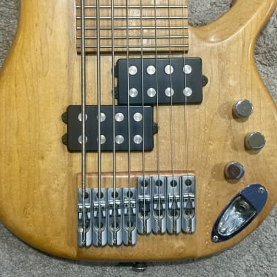 Langlois 8 String Extended-Range Bass - Unique, with Flight | Reverb