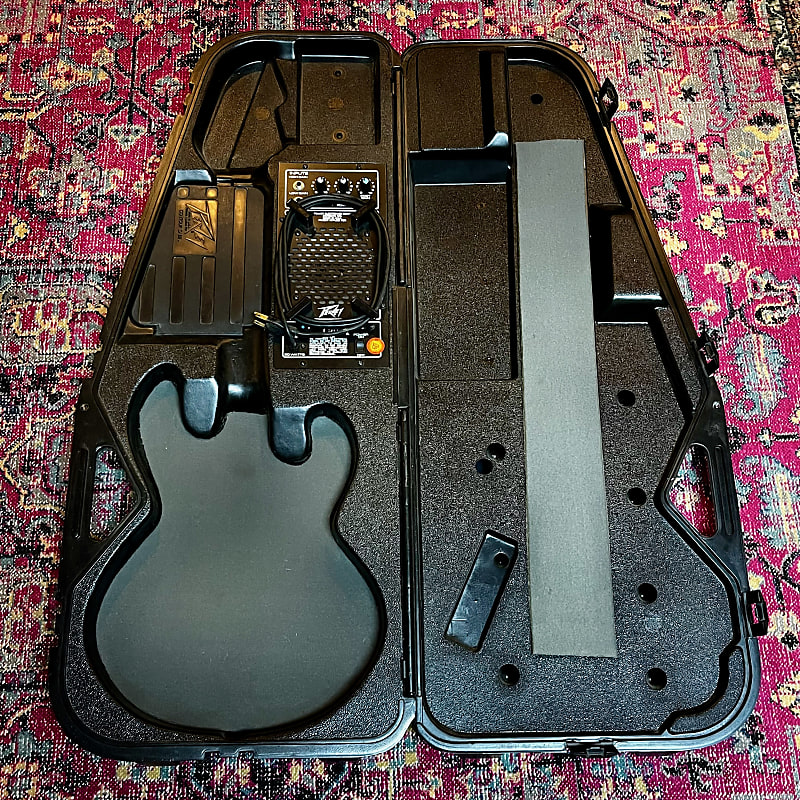 Vintage Peavey "Electric Case" Guitar Amp Case Combo WORKING | Reverb