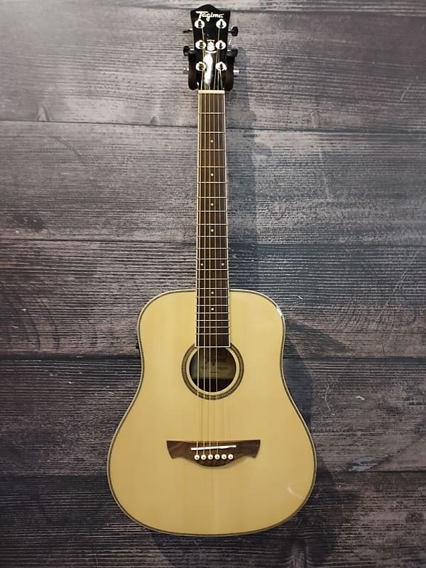 WS40 Acoustic Electric Guitar (Sarasota, FL) | Reverb