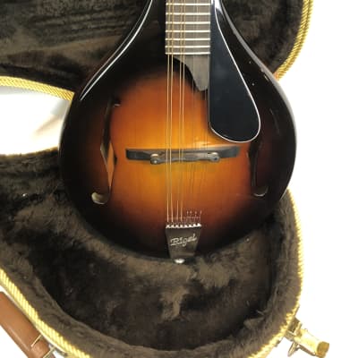 Rigel A+ Mandolin | Reverb