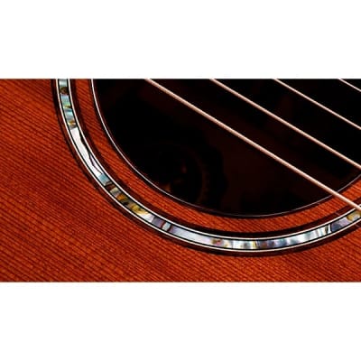 Taylor 814ce Builder's Edition 50th Anniversary | Reverb