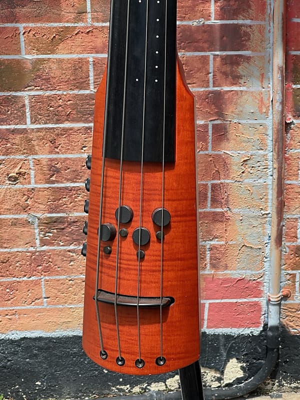 NS Design CR4M 4-String Upright Bass 2015 - a stunning Ned | Reverb