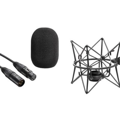 Neumann U87AI-SET-Z Dual-Diaphragm Multi-Pattern Condenser | Reverb