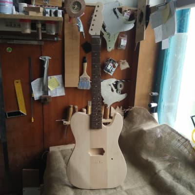 DiY / Telecaster 2023 / European Alder | Reverb