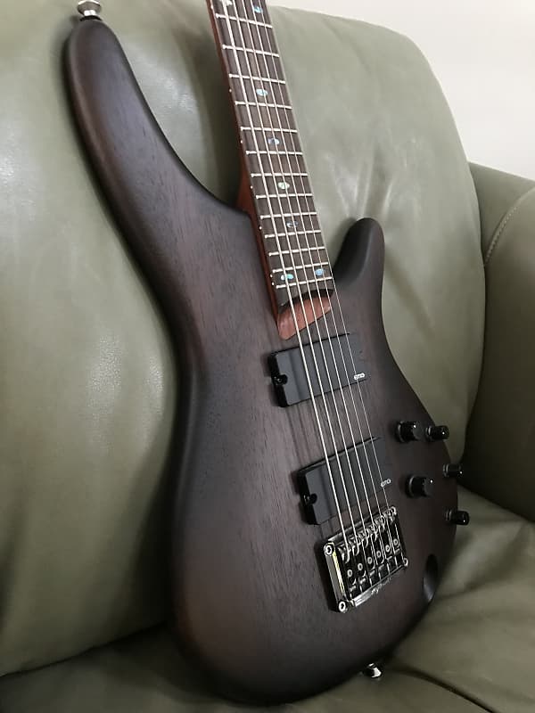 Ibanez SRDG SRC6, 6 String Walnut | Reverb