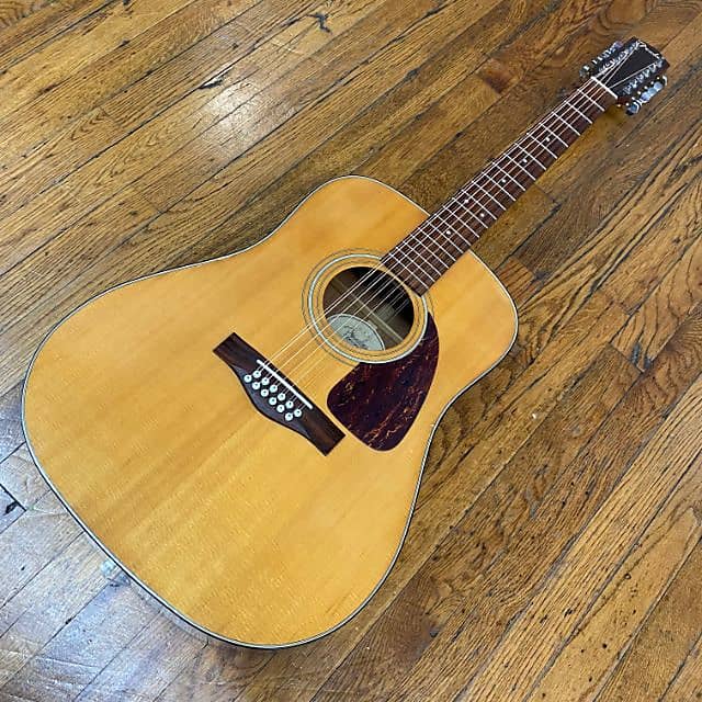 Fender DG-30-12 | Reverb