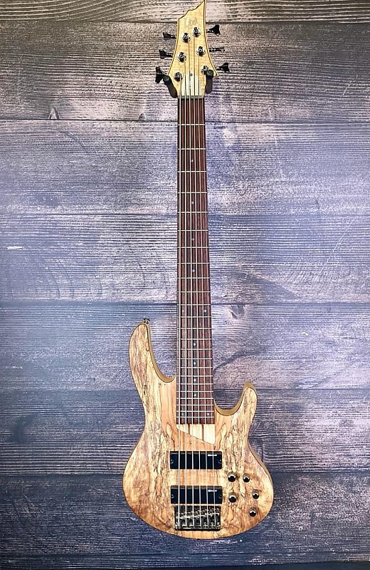 ESP ESP LTD B-206SM Bass Guitar 6 String Bass Guitar (Miami, | Reverb