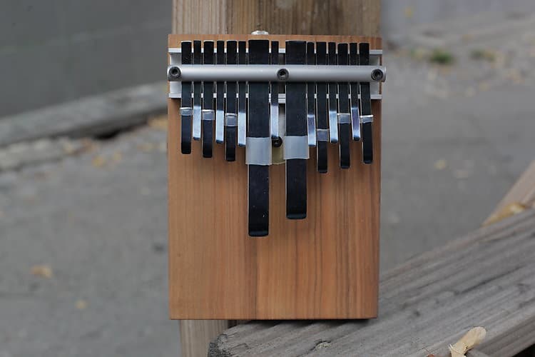 eKalimba Buck Tooth Nyunga Nyunga Bass electric kalimba david | Reverb