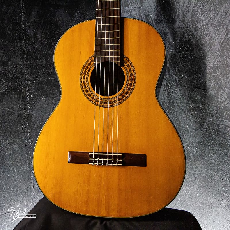 Wayne W-30 Classical Acoustic c1975 | Reverb