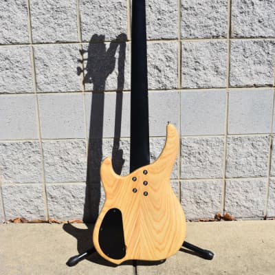 Scott Ambush Custom 5 String Bass | Reverb