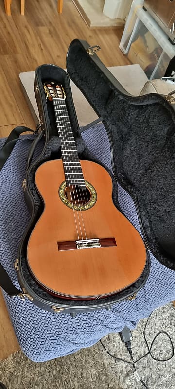 Alhambra 11P 2021 | Reverb