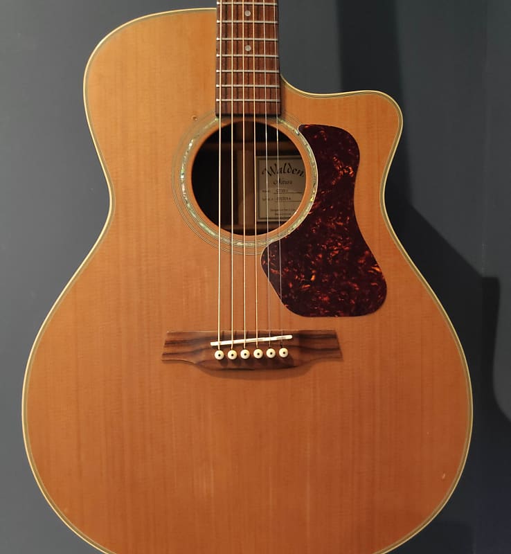 Walden G730 CE Solid Top AND Back! Cedar + Rosewood | Reverb UK