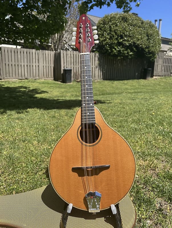 Beard Instruments Mandolin No. 28 2010s - Lacquer | Reverb