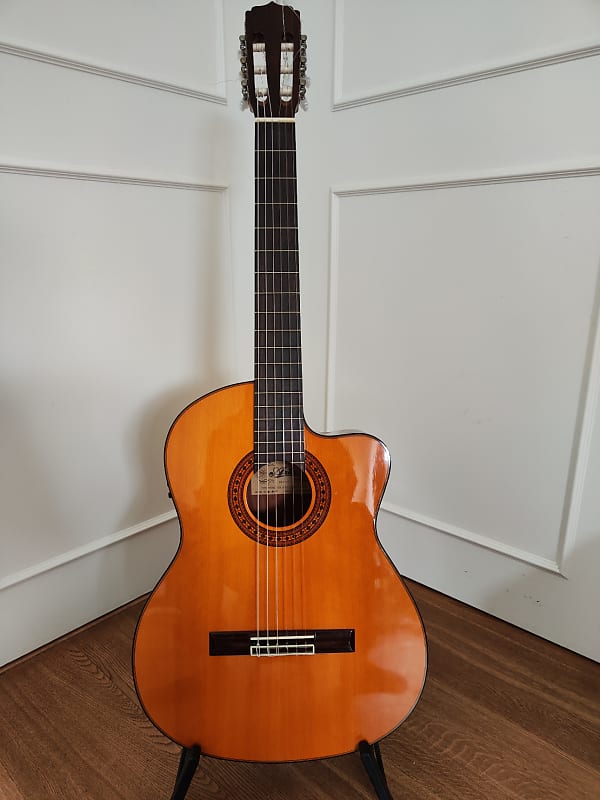 Aria AK80-ce 00s Spruce Top, Mahogany Sides | Reverb