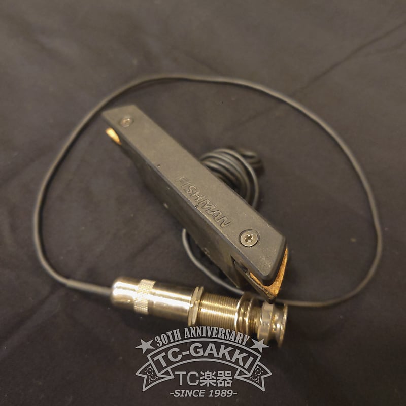 2000's FISHMAN Rare Earth Single Coil Active Soundhole Pickup | Reverb