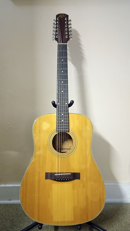 Rogue RD-100 12 String | Reverb