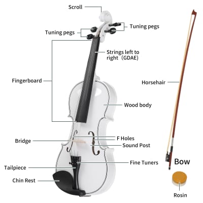 Full Size 4/4 Violin Set for Adults Beginners Students with | Reverb