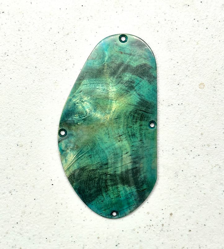 Kiesel Small Electronics Cavity Cover Gloss Aqua/Teal Buckeye | Reverb